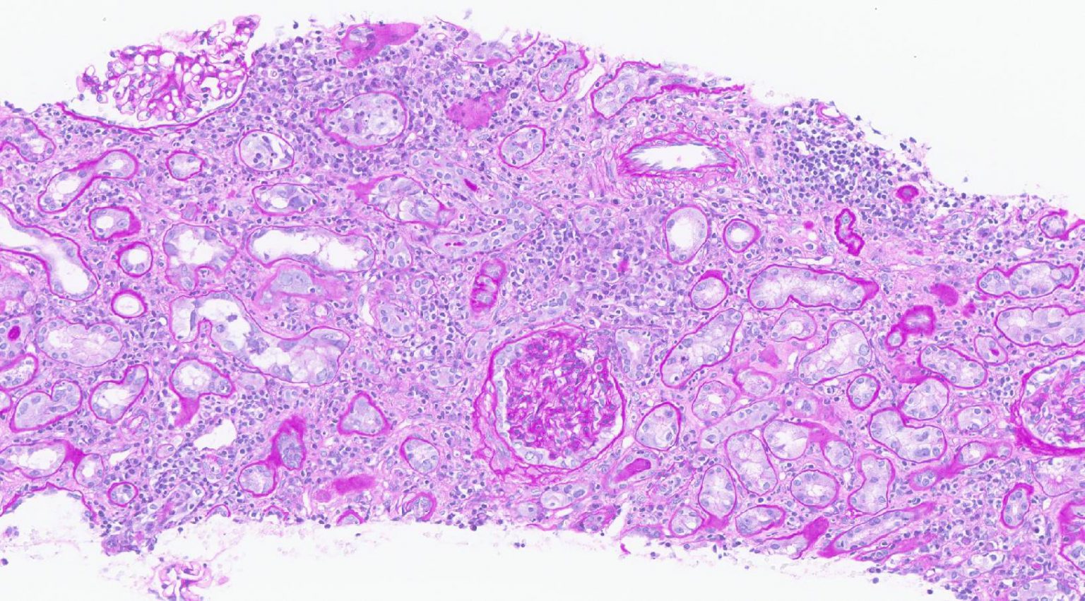 Testing Specialties – Pacific Rim Pathology